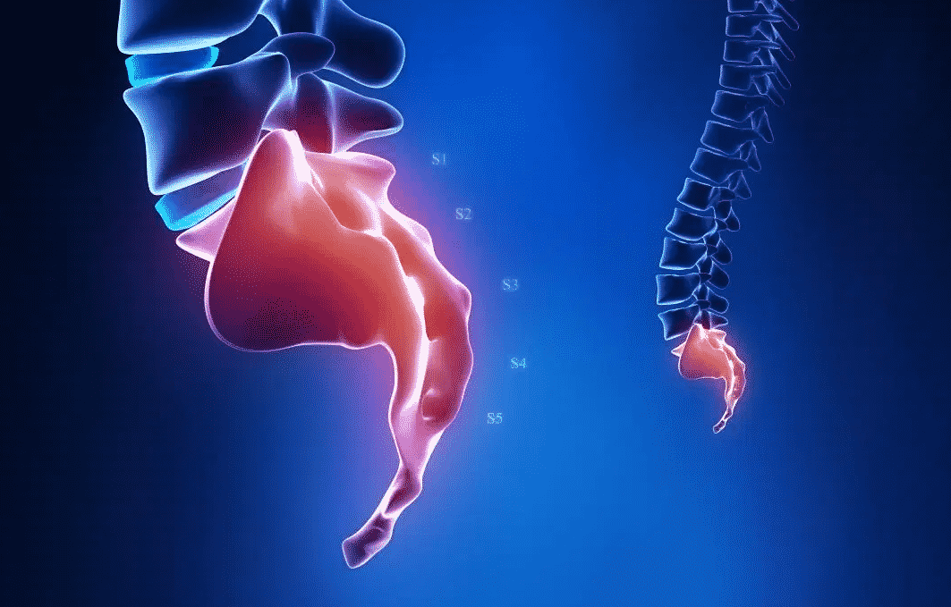 How To Stretch Out Your Tailbone How To Stretch Out Your Tailbone